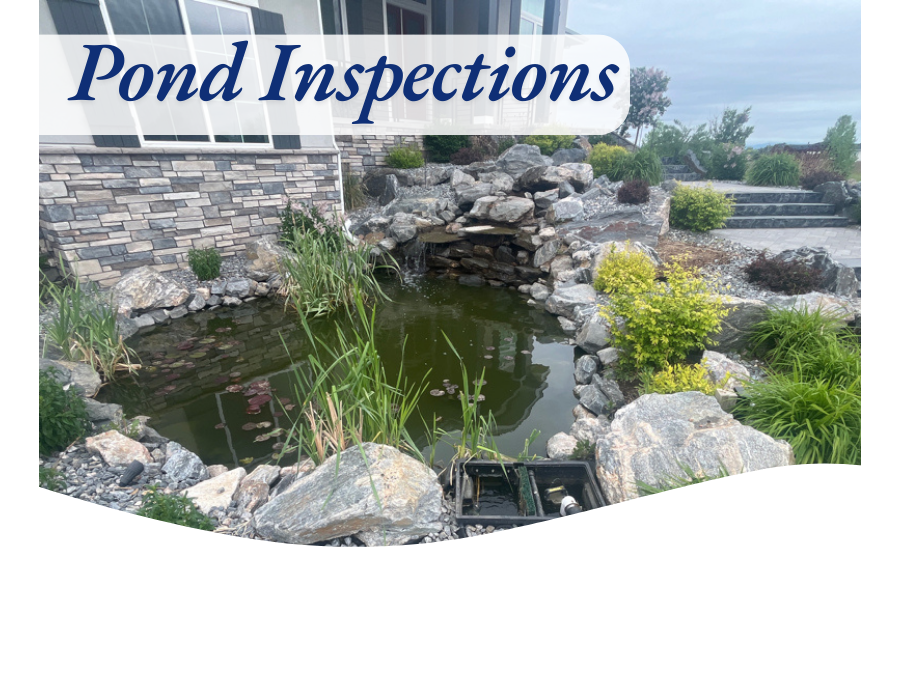 Pond Inspection - Sweetwater Ponds